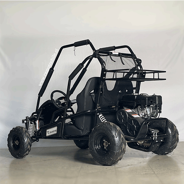 Buggy sk 200 tao motor (para niños) - rxmotochile